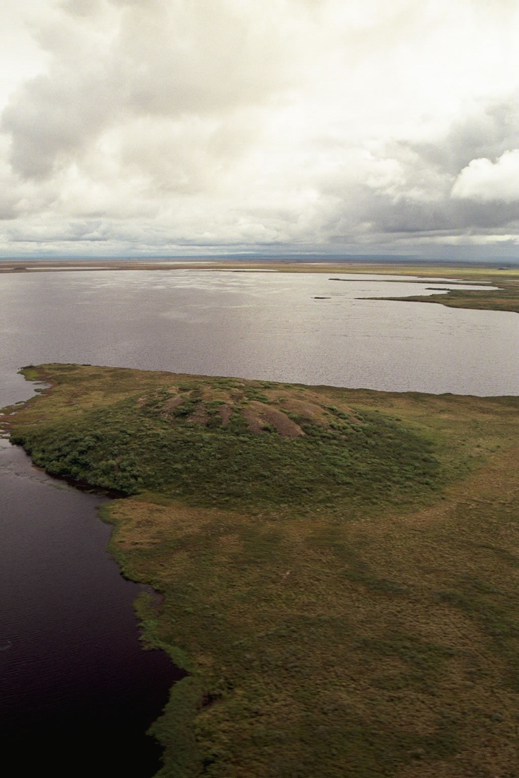 Scenery / pingo2.jpg