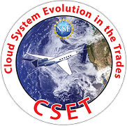 CSET Data Access